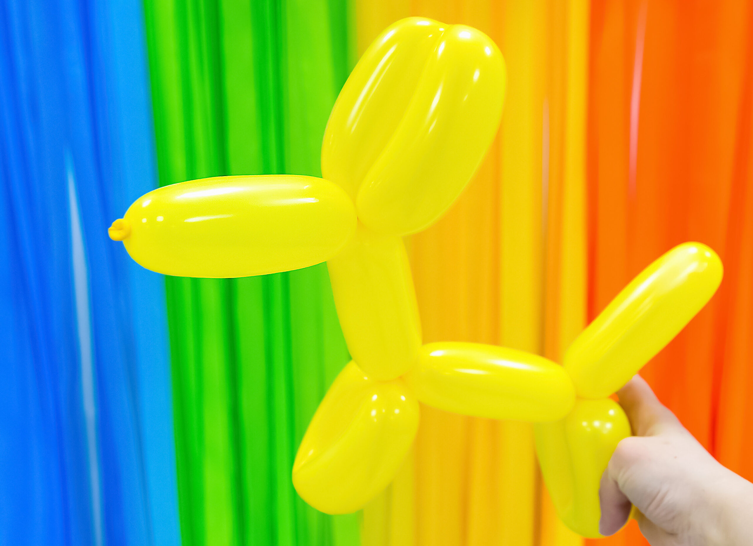 Balloon Twister Mr C | Total Entertainment Network BC